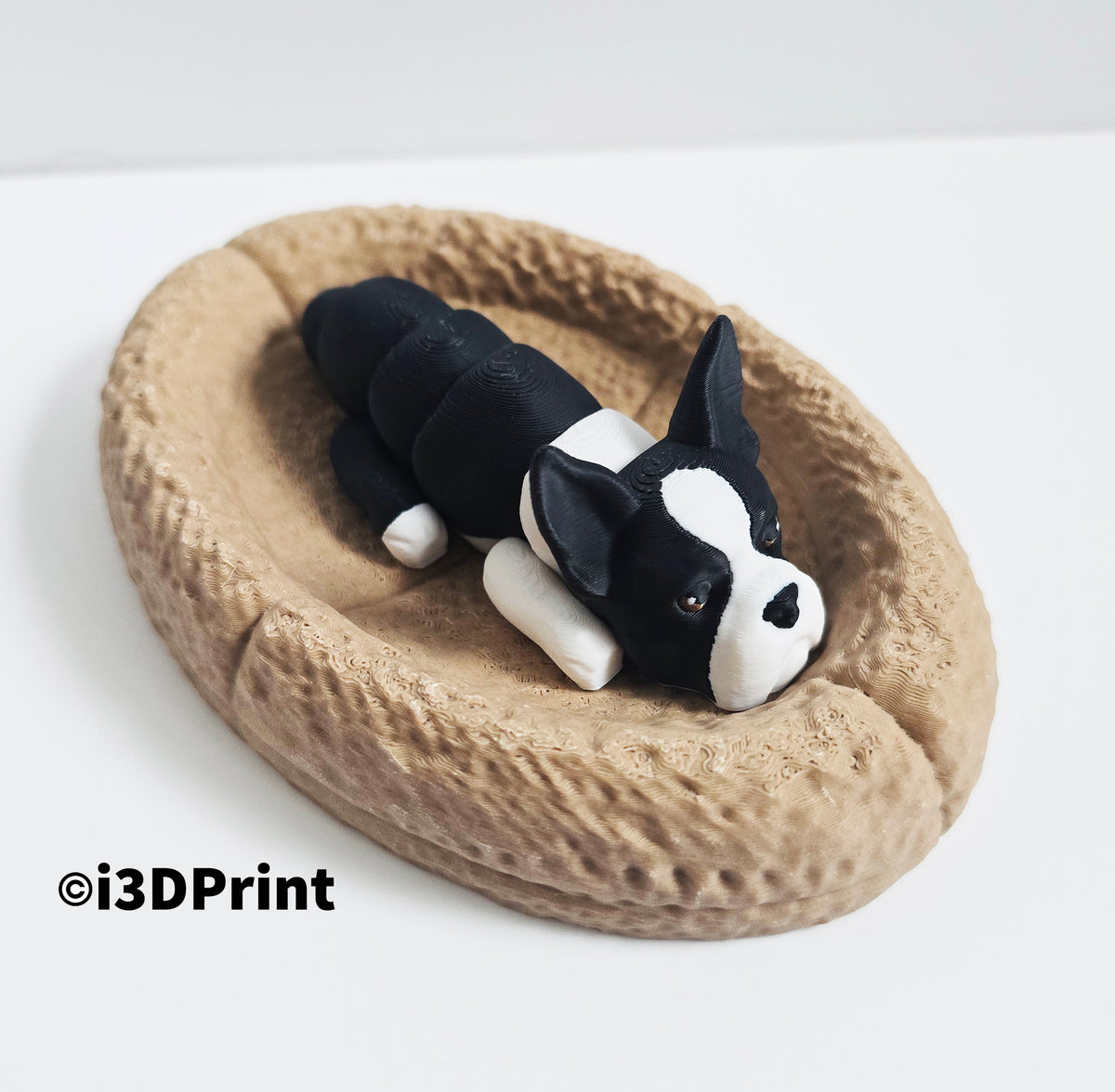 Boston Terrier Puppy| i3DPrint