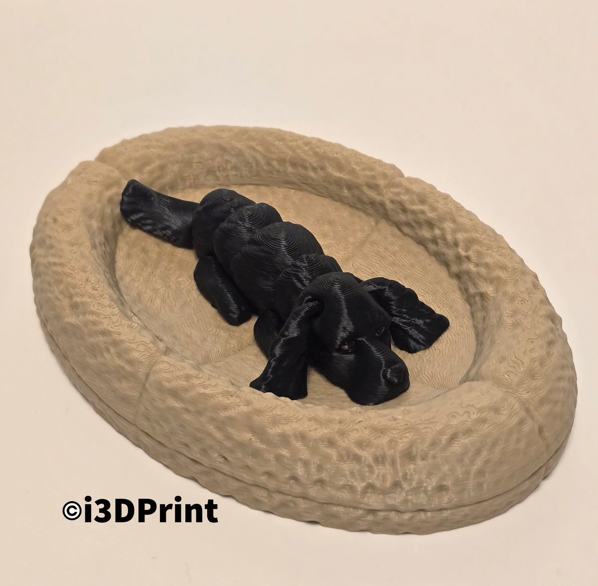 Cocker Spaniel Puppy| i3DPrint