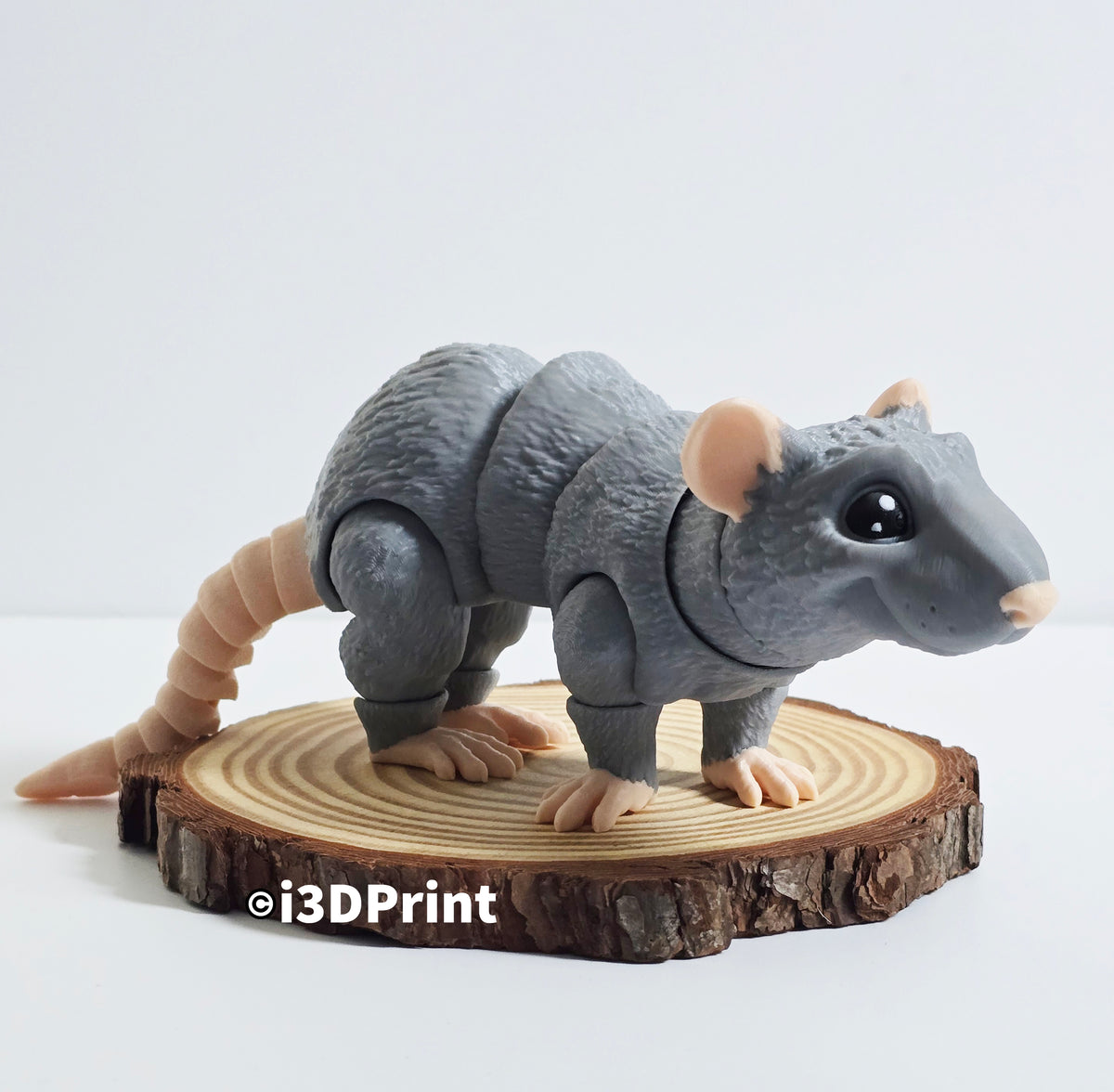Rat| i3DPrint